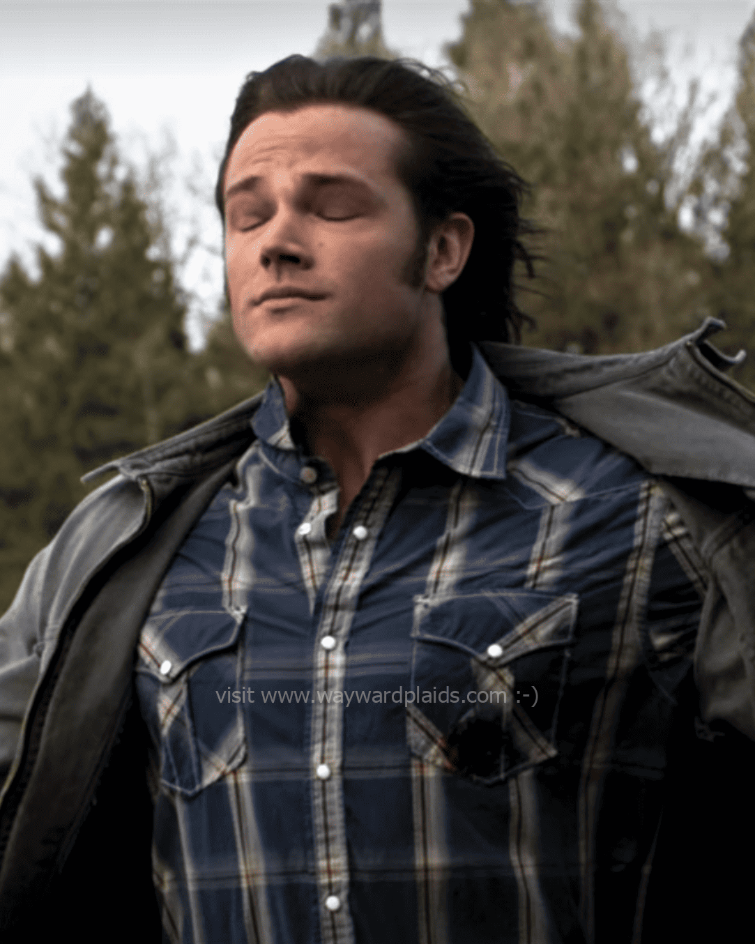 RARE – Sam’s Swan Song Plaid – Wayward Plaids